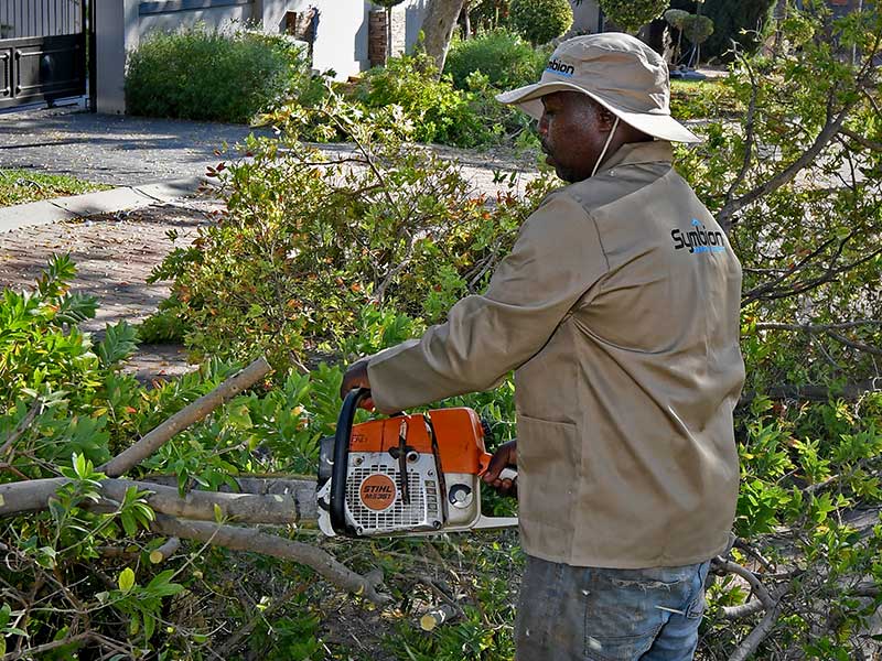 Tree Felling - Symbion Property Services